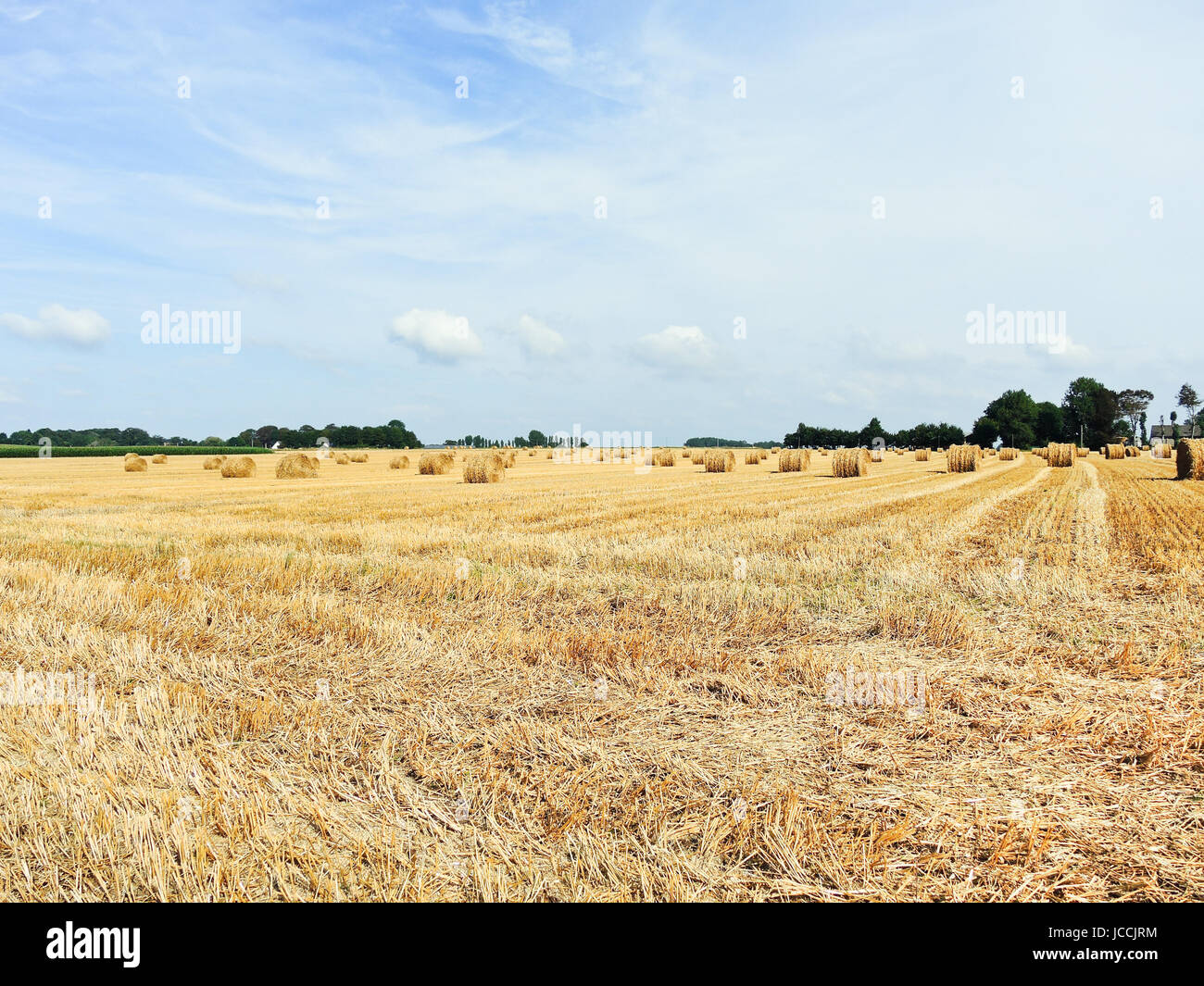view of haystack rolls on harvested field in Normandy, France Stock ...