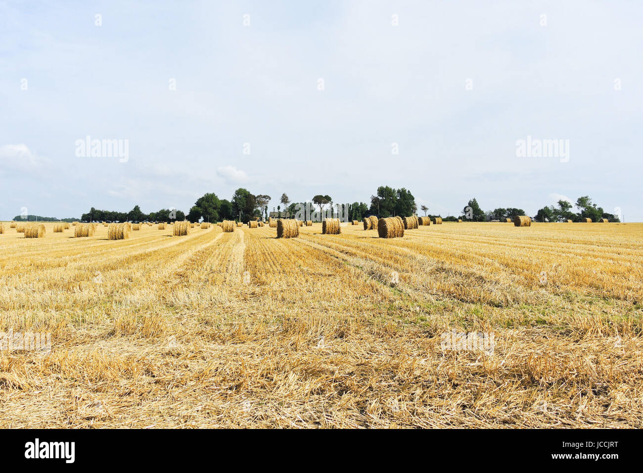 scenic with haystack rolls on harvested field in Normandy, France Stock ...