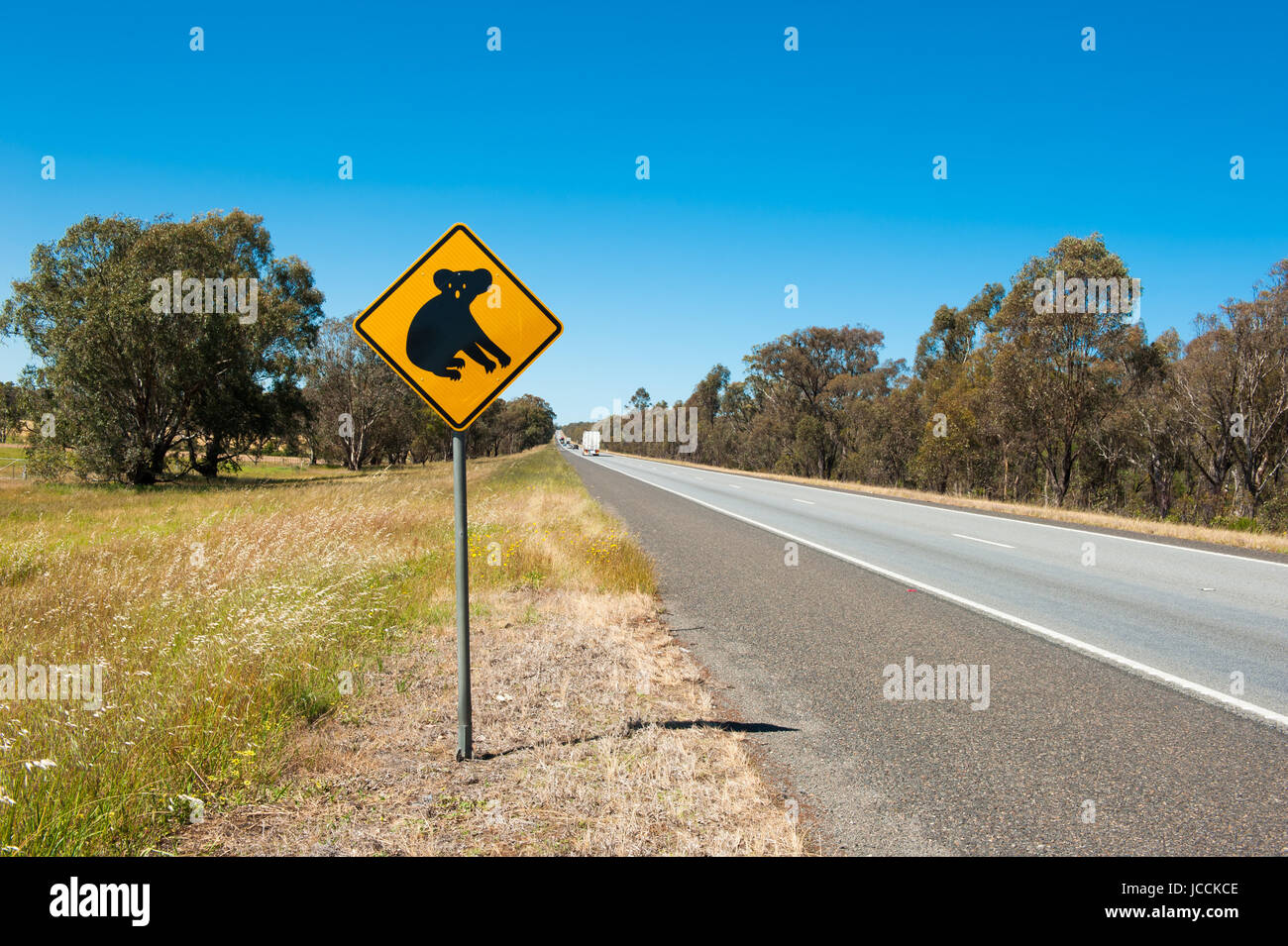 Koala sign road yellow hi-res stock photography and images - Alamy