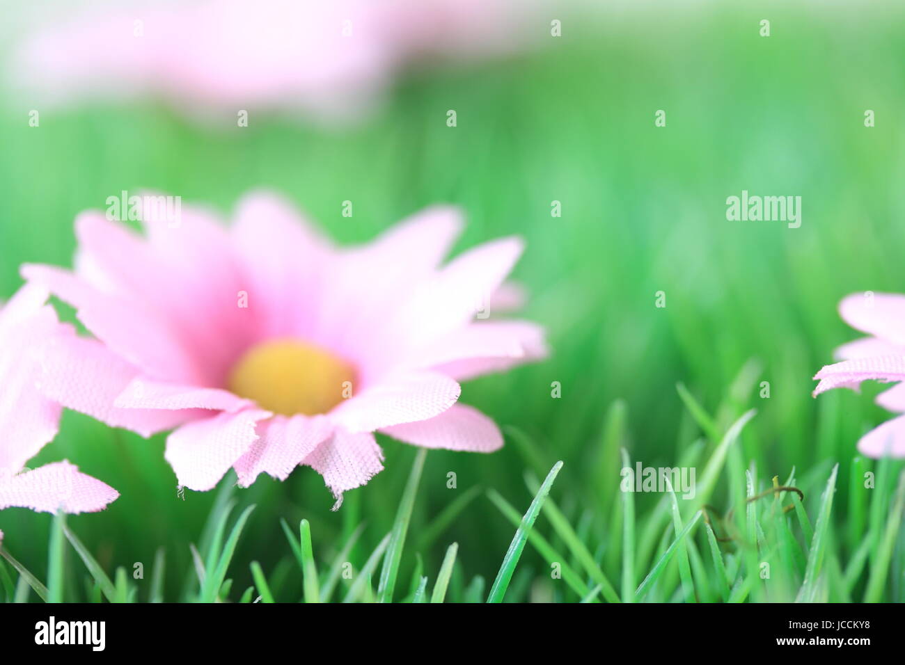 Lilane High Resolution Stock Photography and Images - Alamy