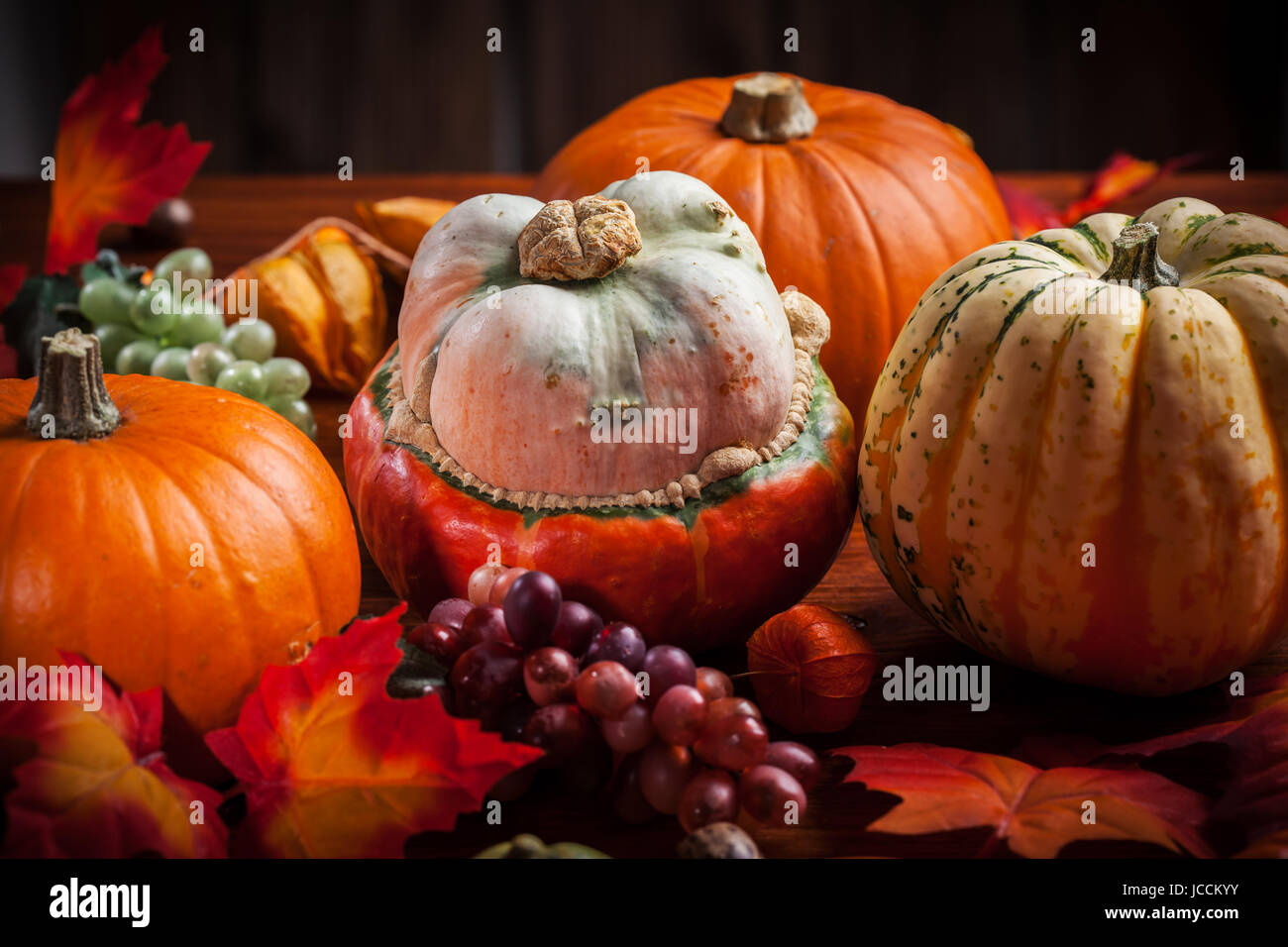 Traditional pumpkins for Thanksgiving and Halloween in warm colors ...