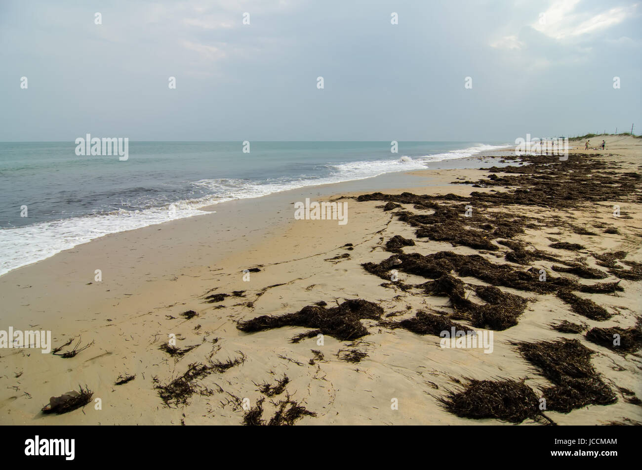 Cape Hatteras National Seashore on Hatteras Island North Carolina USA ...