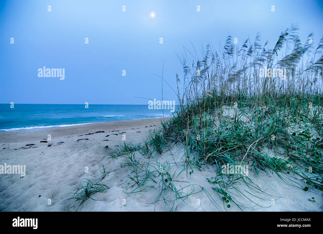 Beautiful empty beach at sunrise with dune vegetation Stock Photo - Alamy