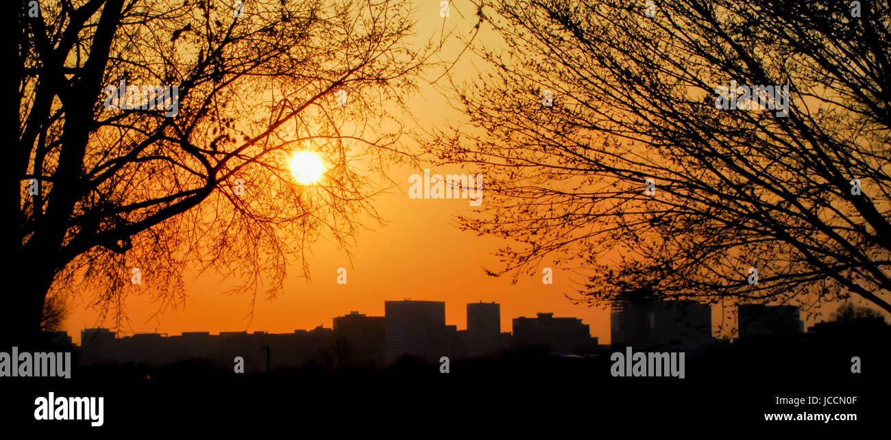 silhouette of washington dc skyline at sunset Stock Photo - Alamy