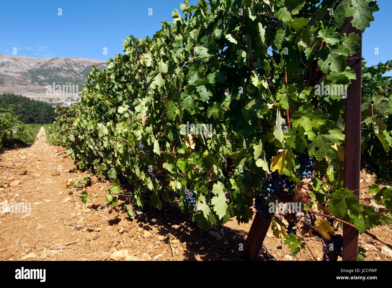 Lebanon syria border bekaa hi-res stock photography and images - Alamy