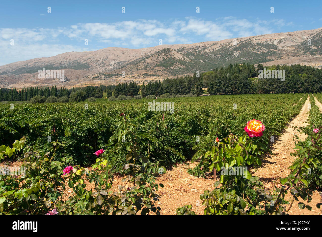 Lebanon syria border bekaa hi-res stock photography and images - Alamy