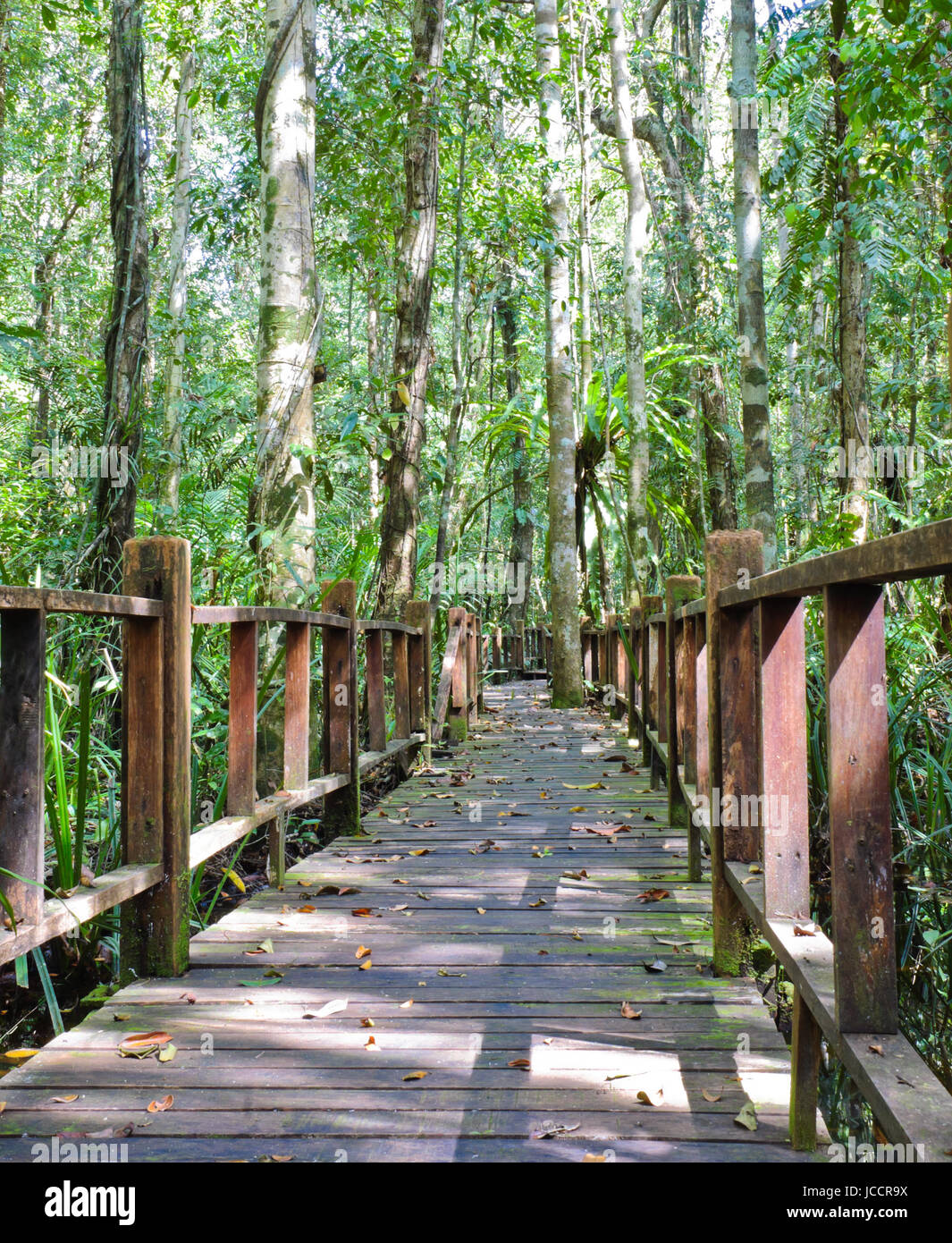 fresh water pond Stock Photo - Alamy