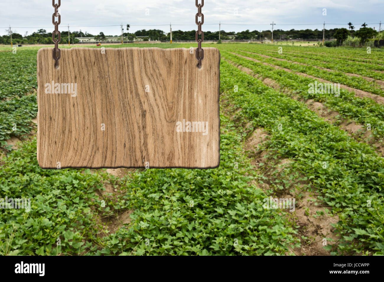 Blank wooden sign on field of farm. Concept of rural, idyllic ...