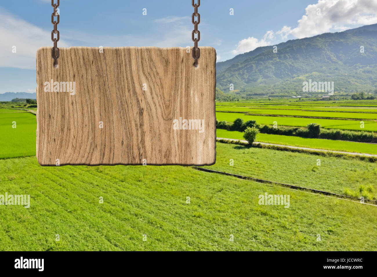 Blank wooden sign on field of paddy rice farm. Concept of rural ...
