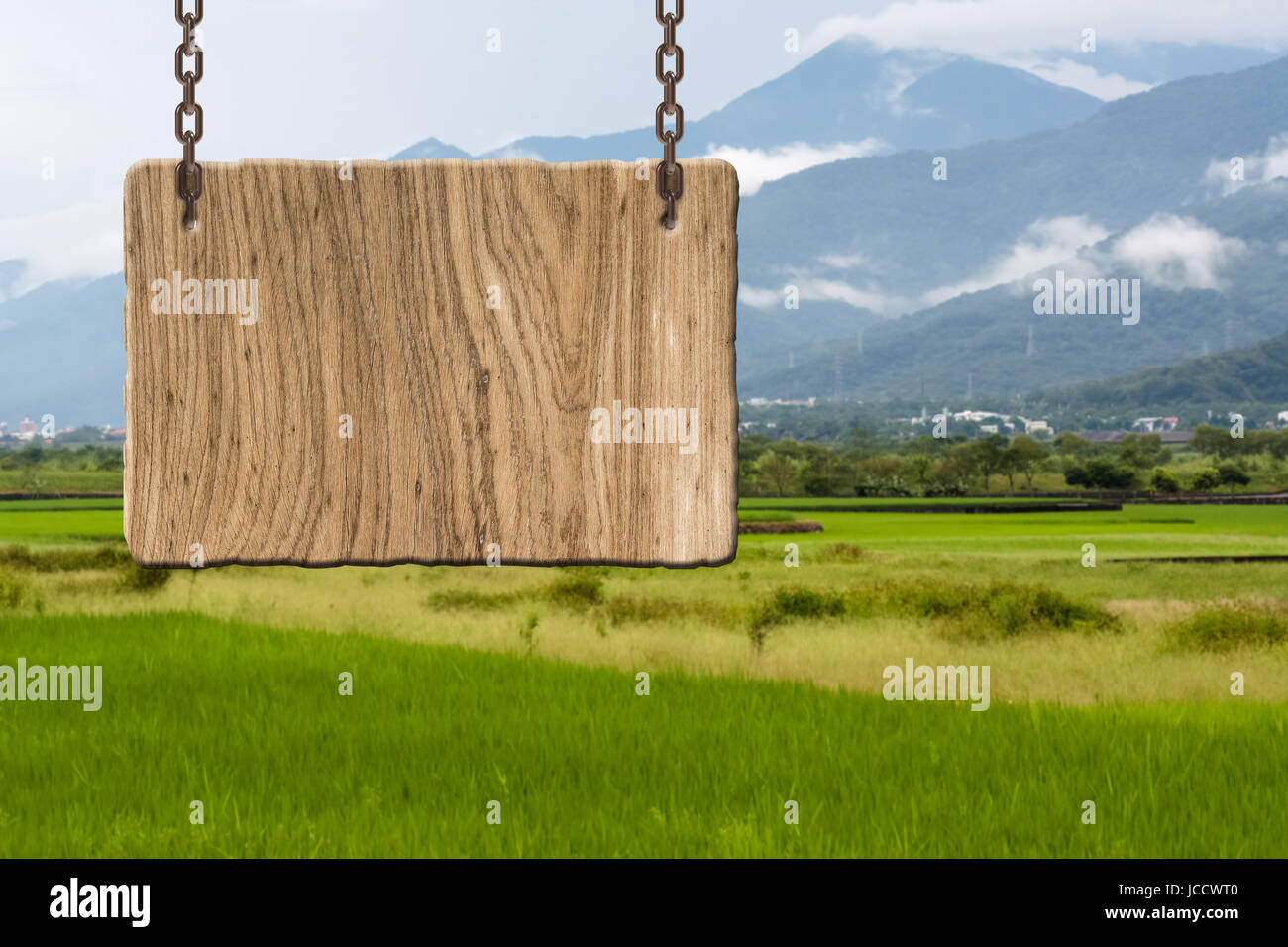 Blank wooden sign on field of paddy rice farm. Concept of rural ...