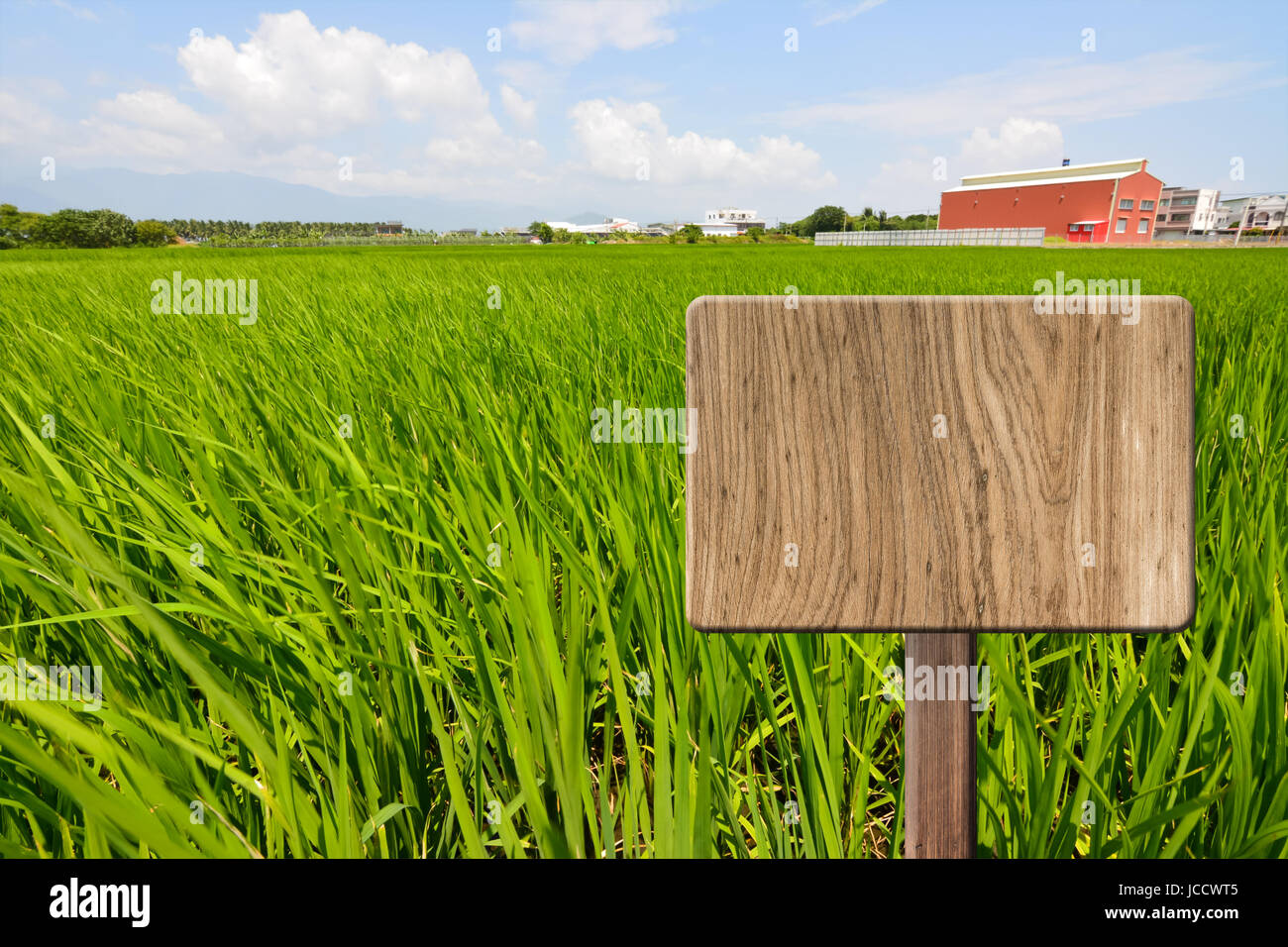 Blank wooden sign on field of farm. Concept of rural, idyllic ...