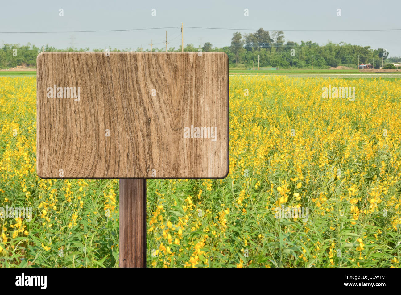 Blank wooden sign on field of farm. Concept of rural, idyllic ...