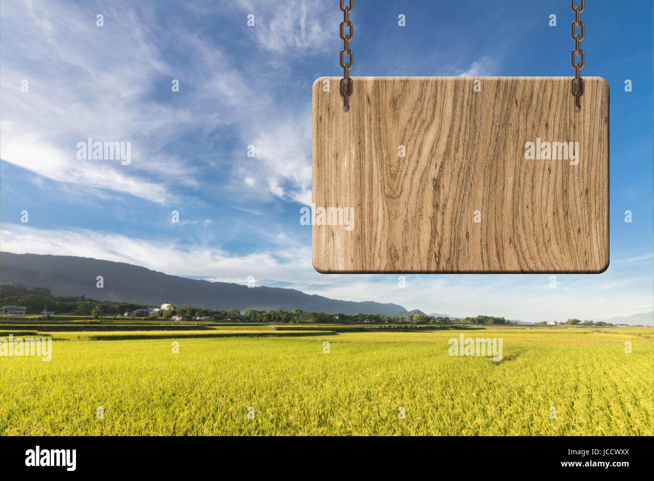 Blank wooden sign on field of paddy farm. Concept of rural, idyllic ...