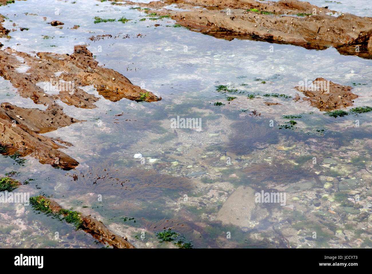 Beautiful seascape puddle water hi-res stock photography and images - Alamy
