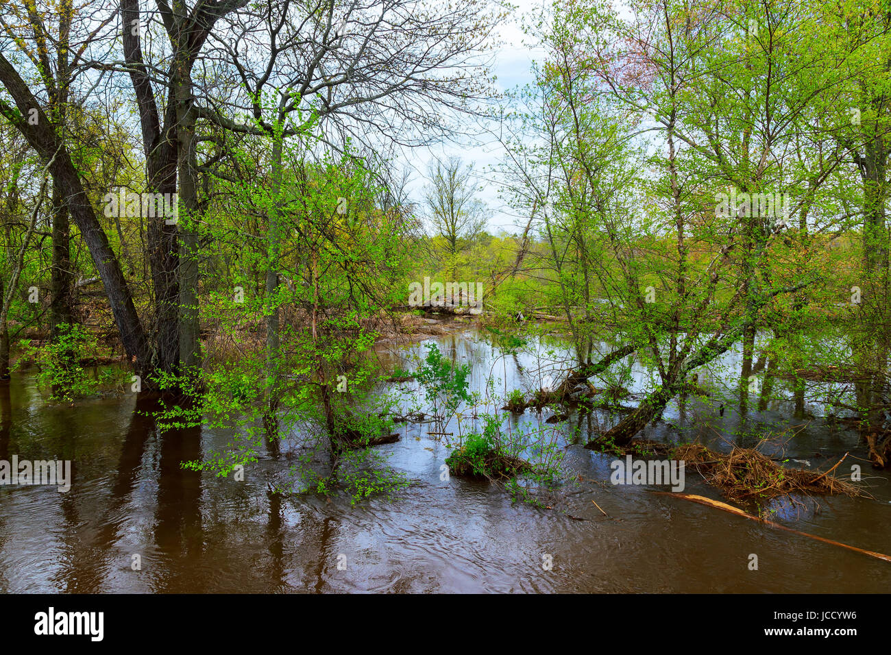 Flooded garden path hi-res stock photography and images - Alamy