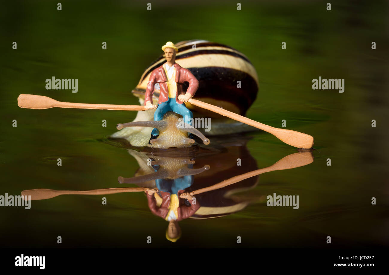 snail ship 4 Stock Photo - Alamy