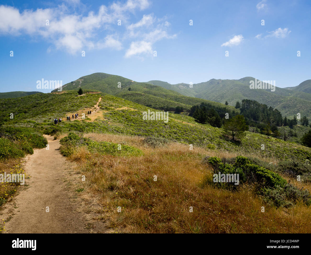 Trail to peak of Montara Mountain with multiple hikers in the distance ...