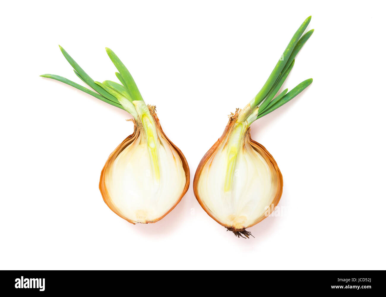 Turnip cross section hi-res stock photography and images - Alamy