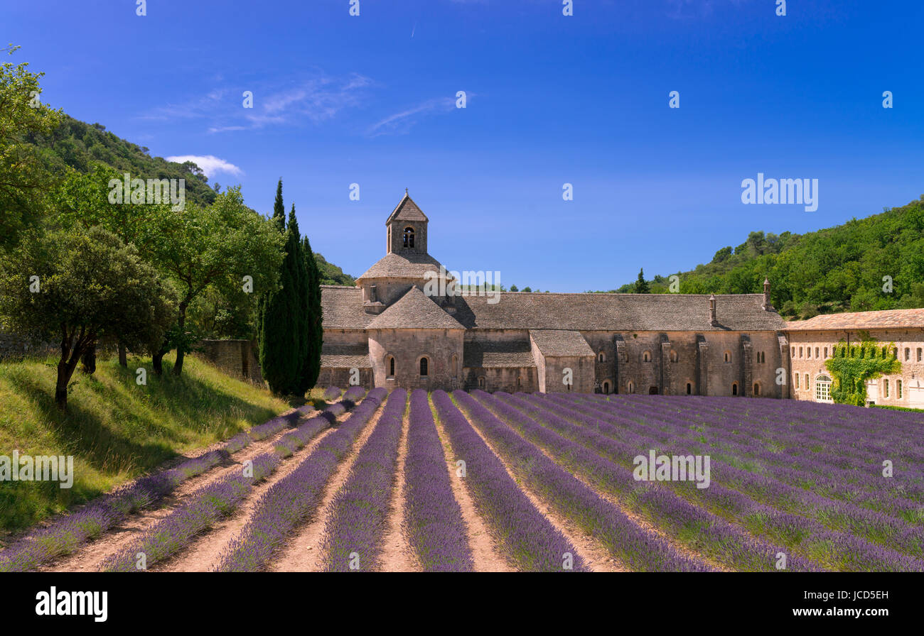 Monasteries of the Cistercian Stock Photo - Alamy