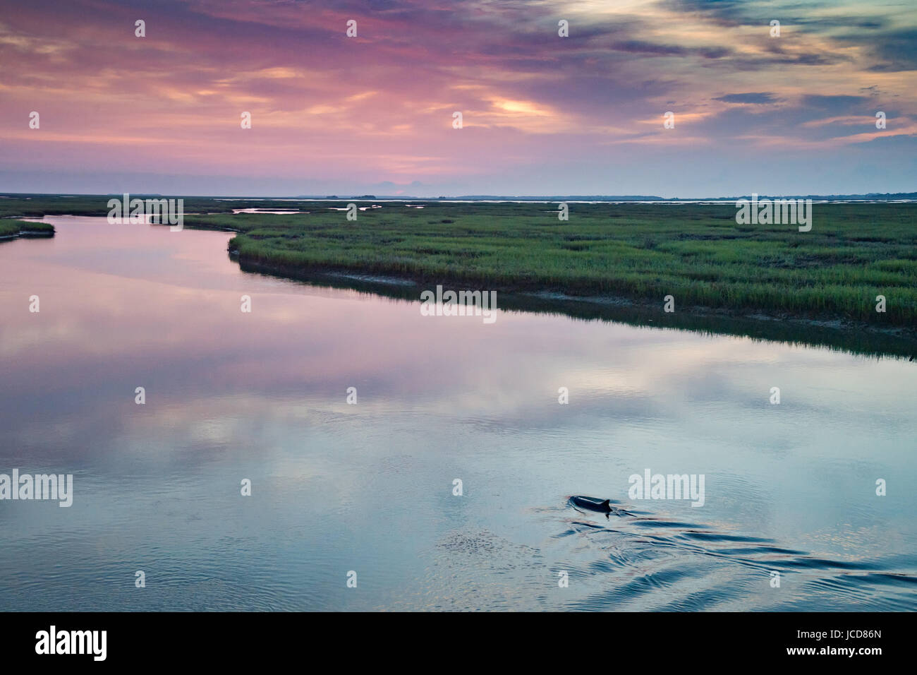 North carolina coast marsh hi-res stock photography and images - Alamy