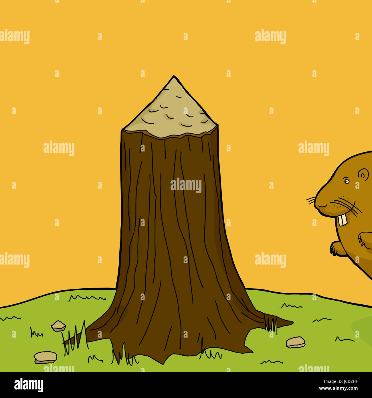Happy beaver and tree stump with bite marks Stock Photo - Alamy