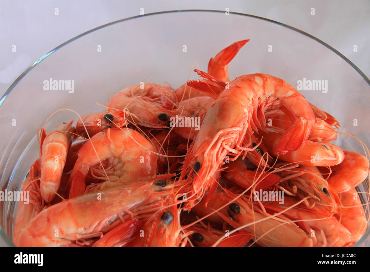 Australia glass shrimp hi-res stock photography and images - Alamy