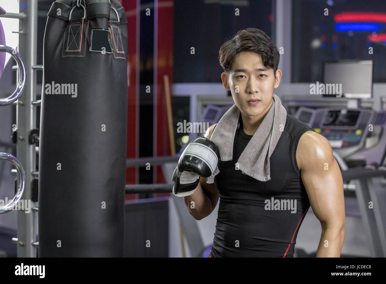 Portrait of young boxer Stock Photo - Alamy