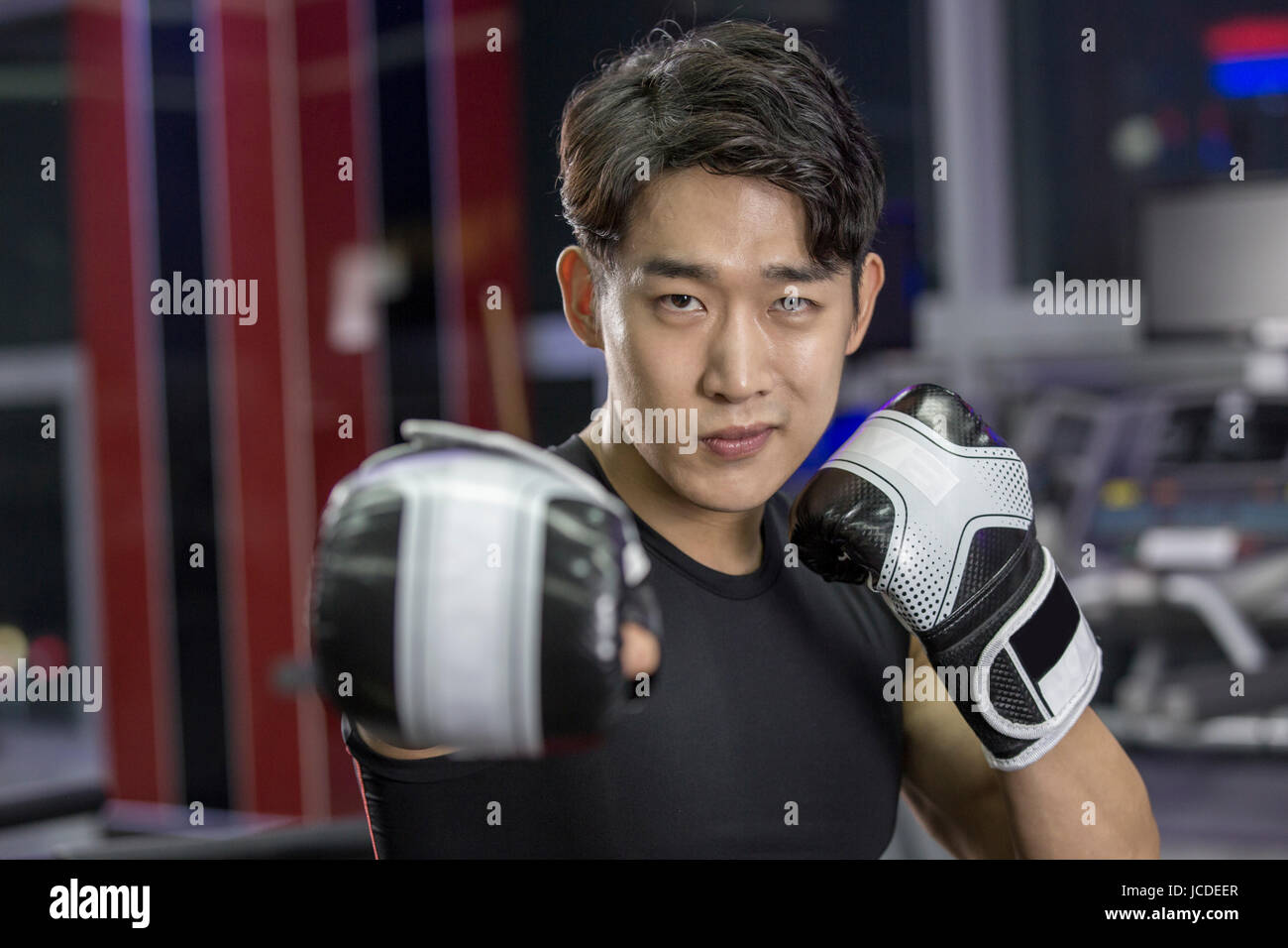 Portrait of young boxer Stock Photo - Alamy