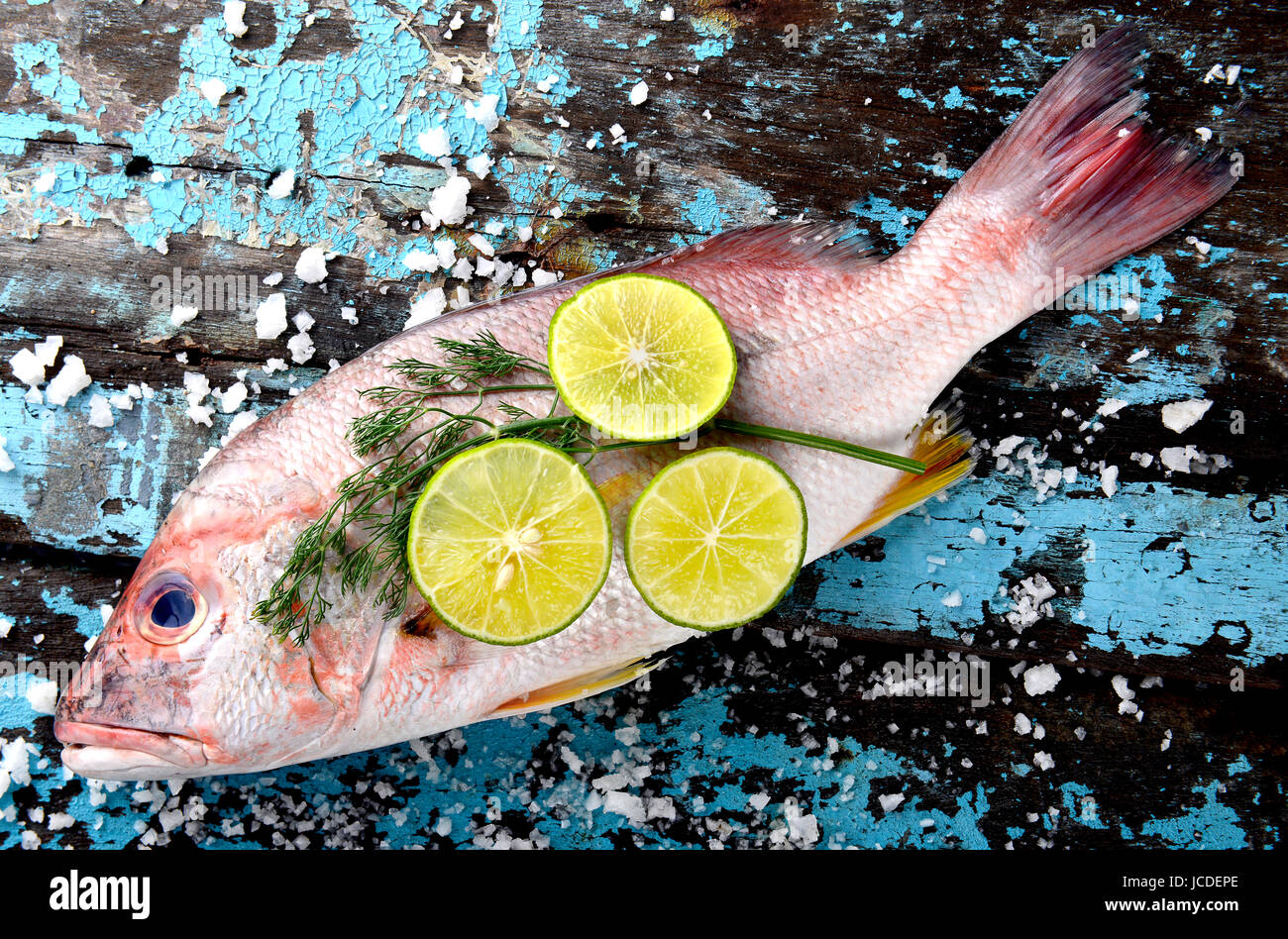 Red snapper underwater fin hi-res stock photography and images - Alamy
