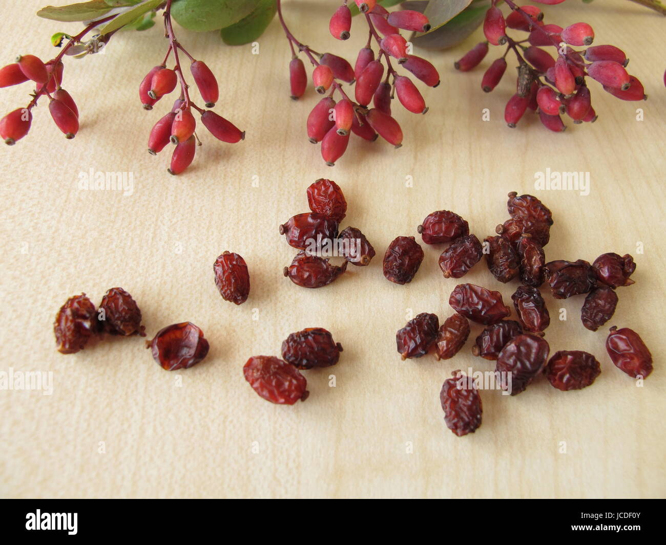 berberitzenzweig and dried barberries Stock Photo - Alamy