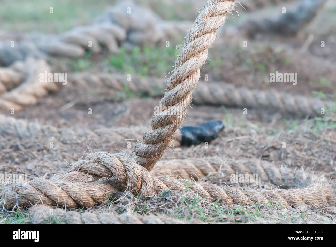 training rope against a grass background Stock Photo - Alamy