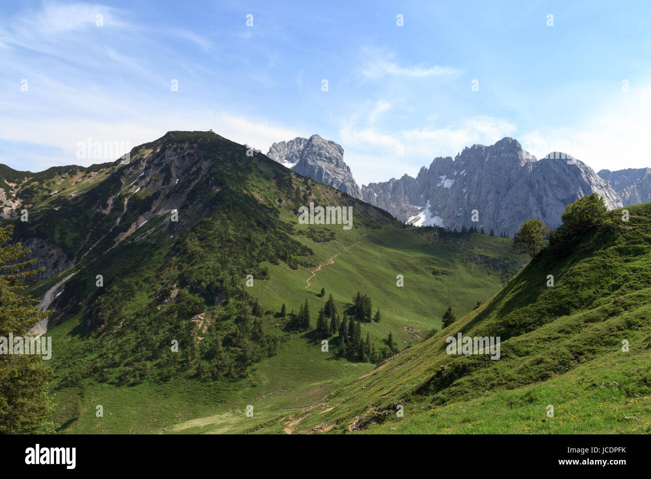 view of the strip head and the wild emperor Stock Photo - Alamy