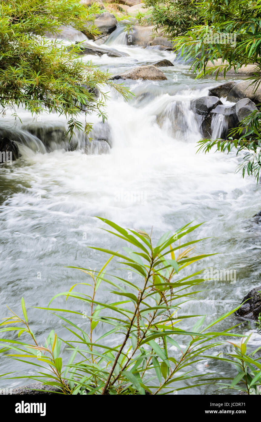 Kaeng som maw hi-res stock photography and images - Alamy