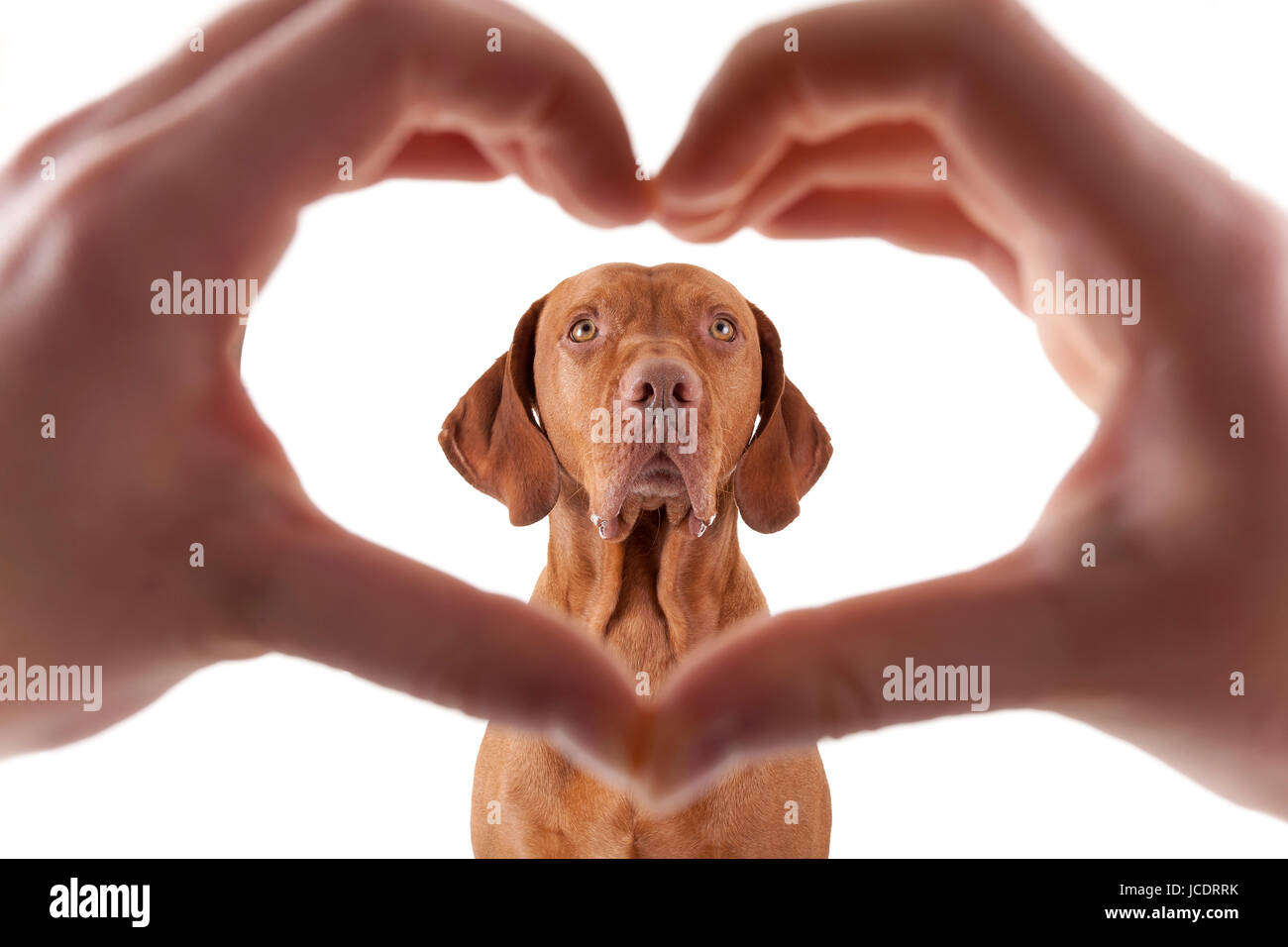 human hand forming a heart shape frame in the foreground with a golden ...