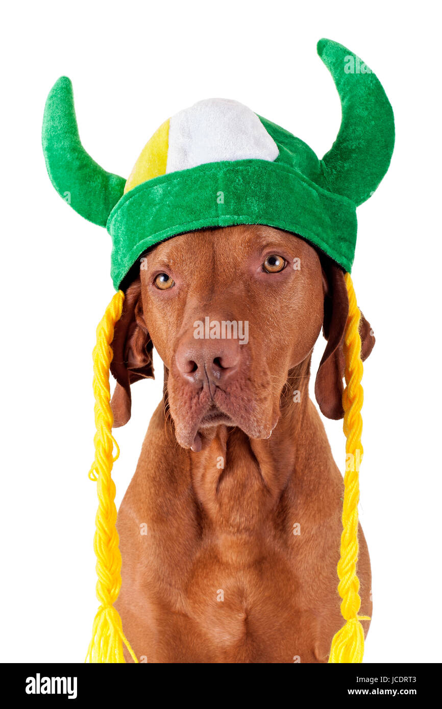 Viking hat dog hi-res stock photography and images - Alamy
