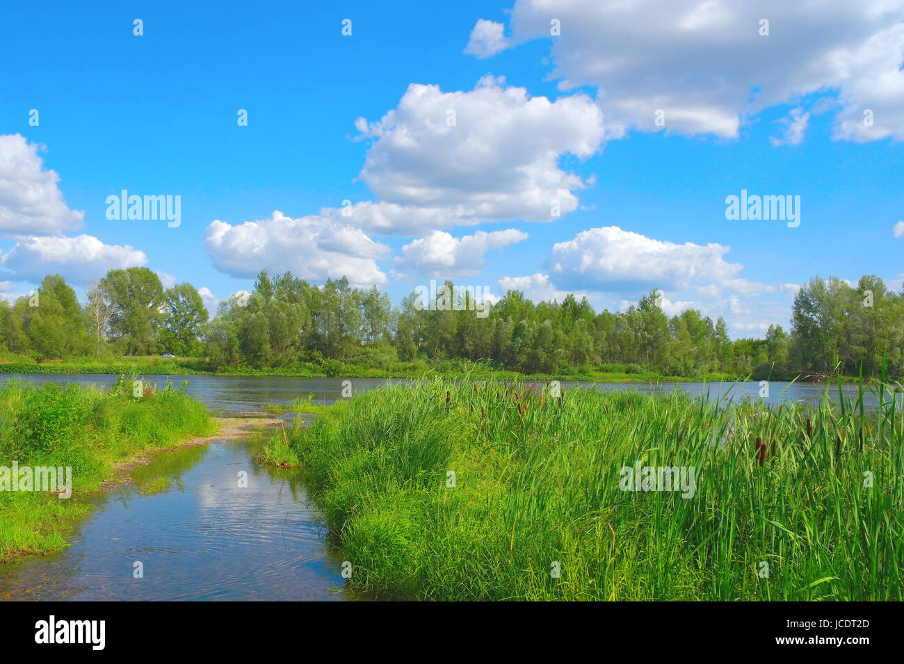 Beautiful summer landscape with river, forest and blue sky Stock Photo ...