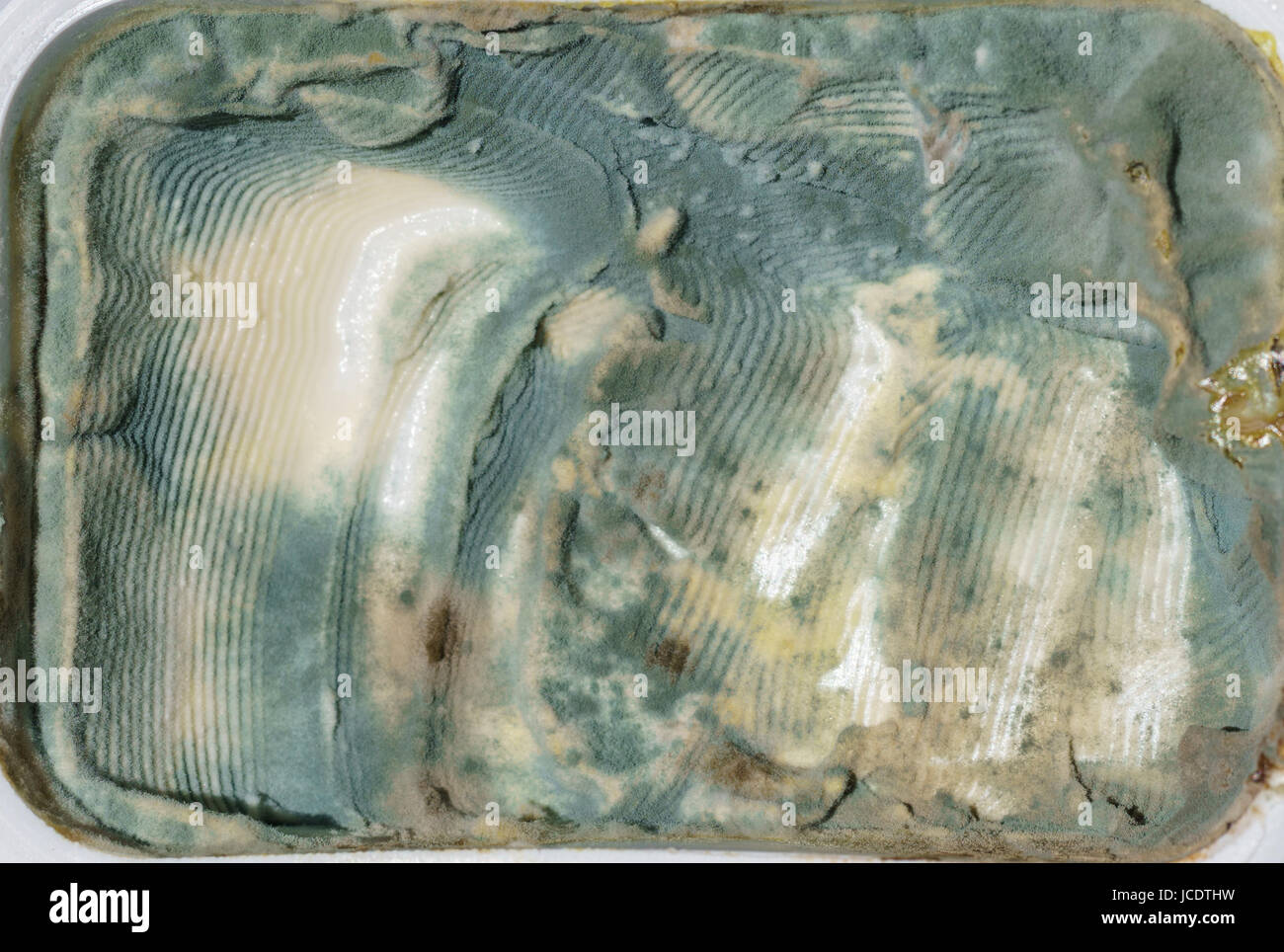 Rotten cheese hi-res stock photography and images - Alamy