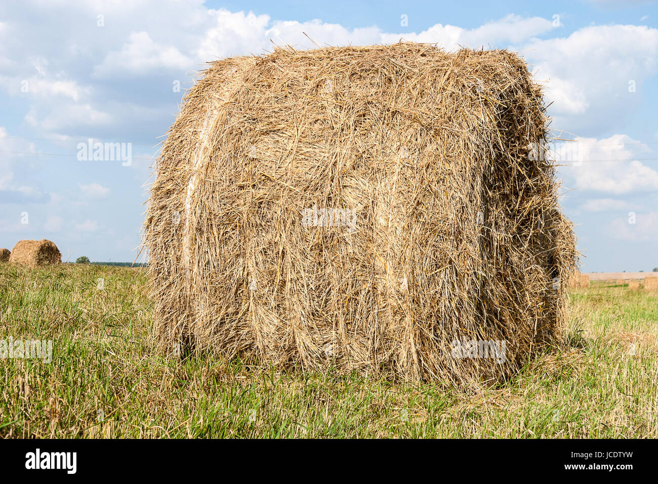 Haystacks in the field at sunny day Stock Photo - Alamy