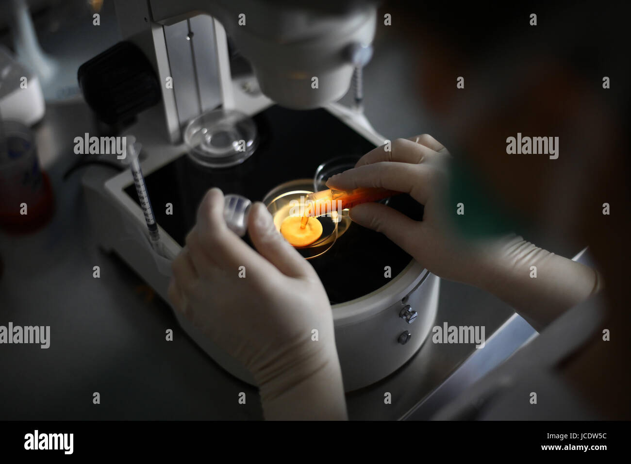 A doctor examines a blood sample at a microscope Stock Photo - Alamy