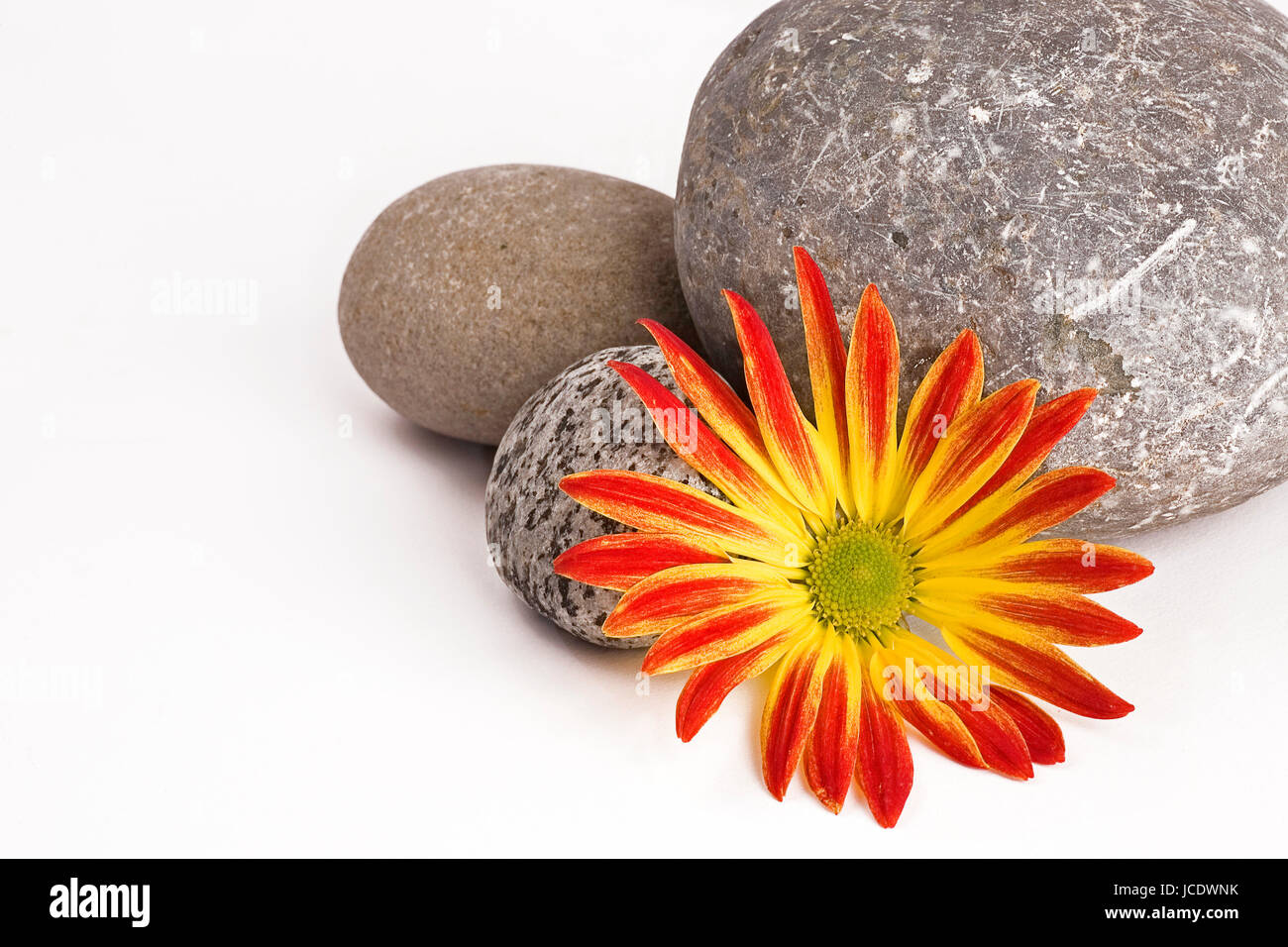 spa mineral spring Stock Photo - Alamy