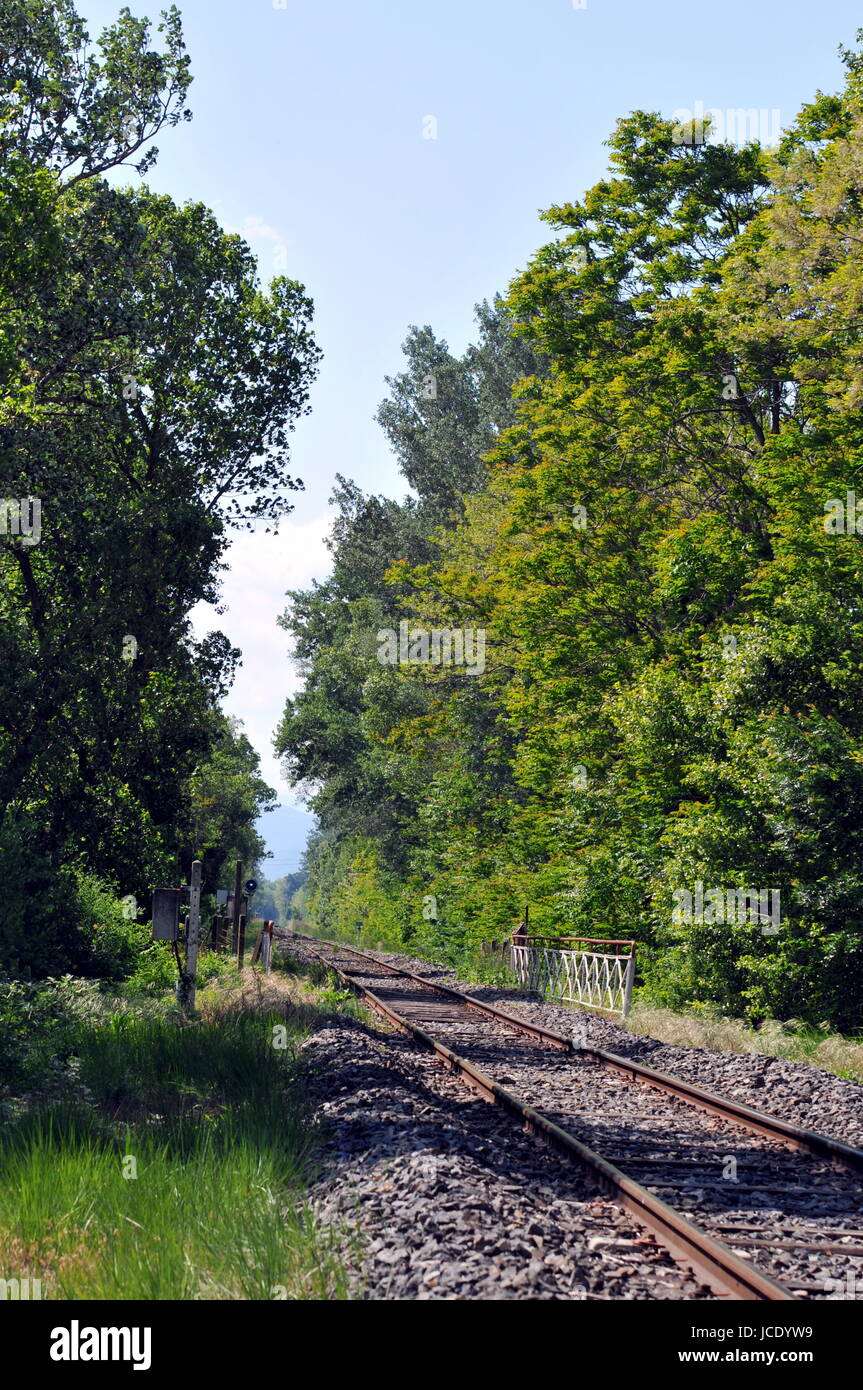 railway branch line in the drome Stock Photo - Alamy