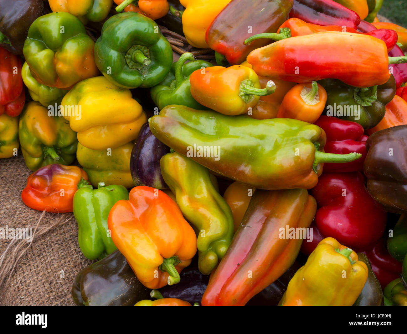 Peppers At A Farmers Market Stock Photo - Alamy