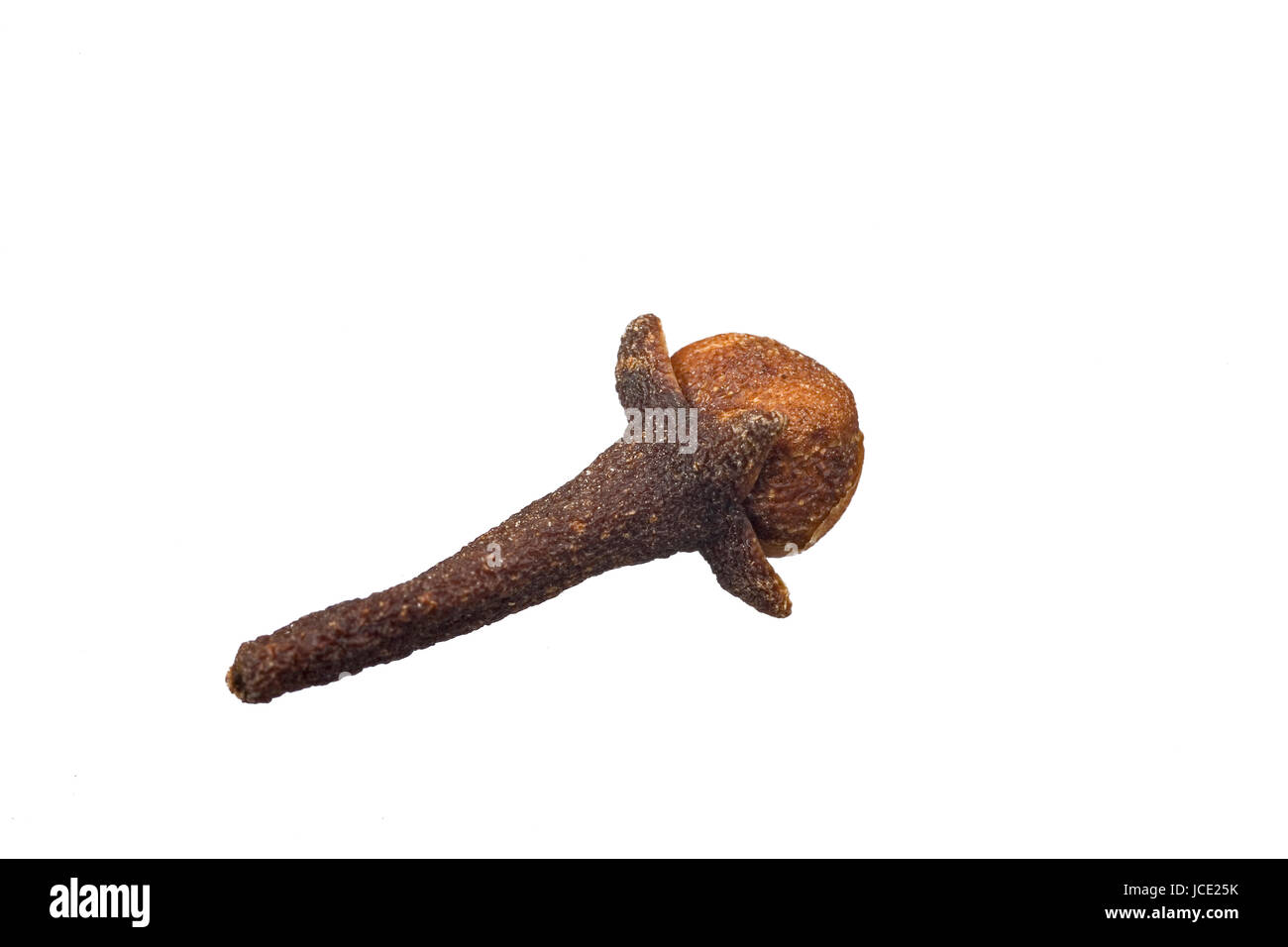 macro clove spice isolated on white background Stock Photo - Alamy