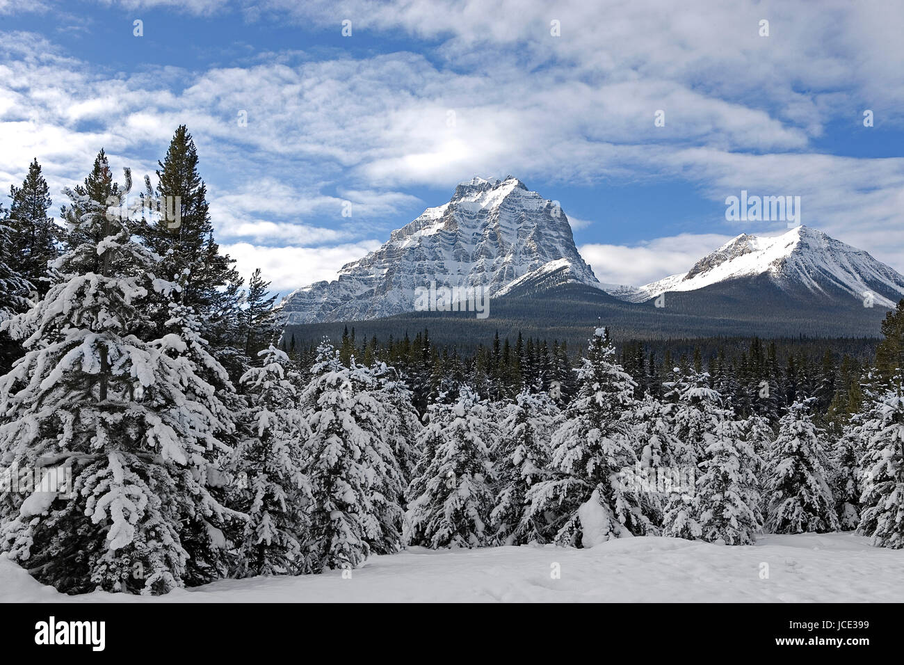 winter landscape of the Rockies Stock Photo - Alamy