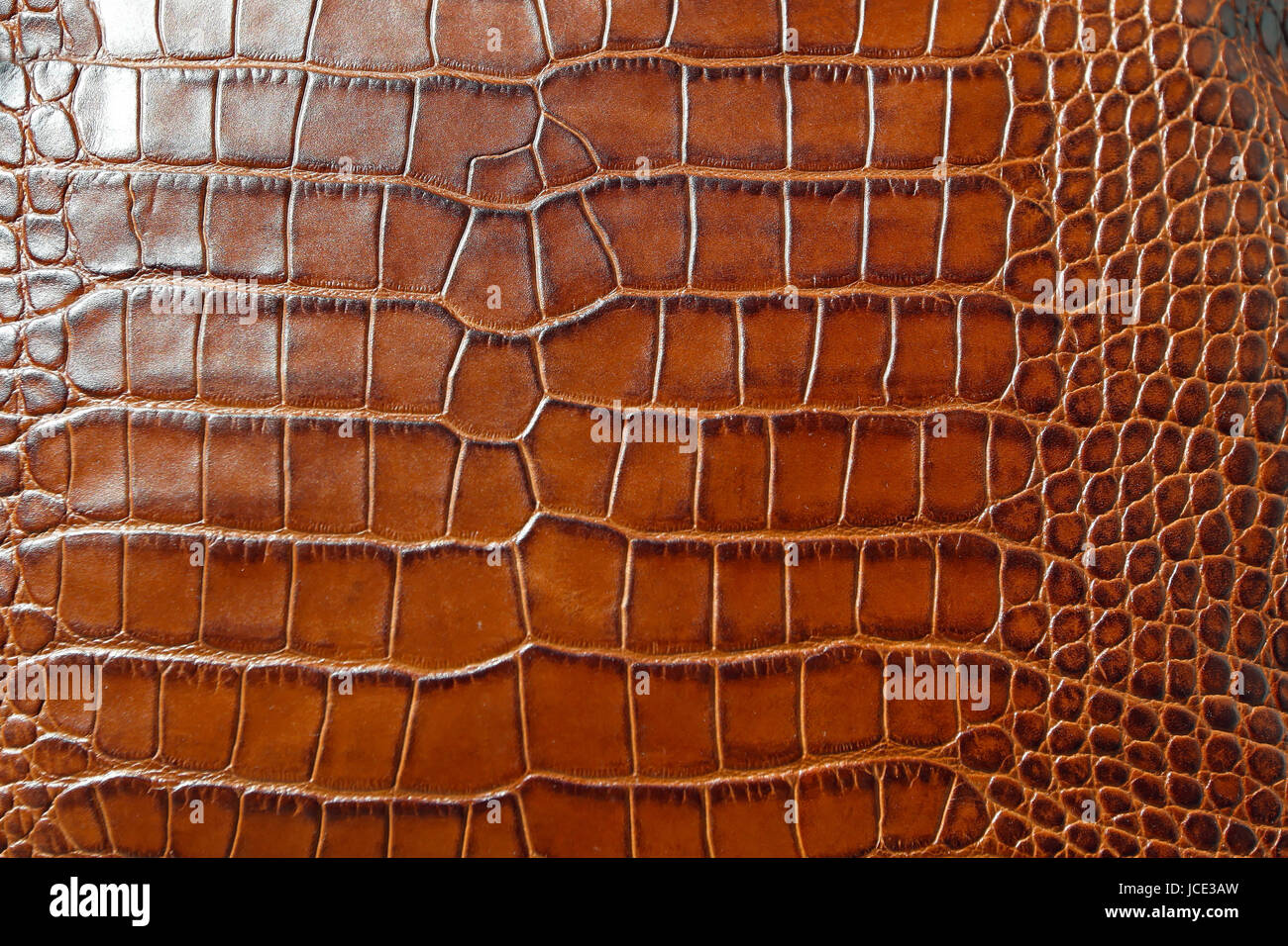 Genuine brown alligator leather texture Stock Photo - Alamy