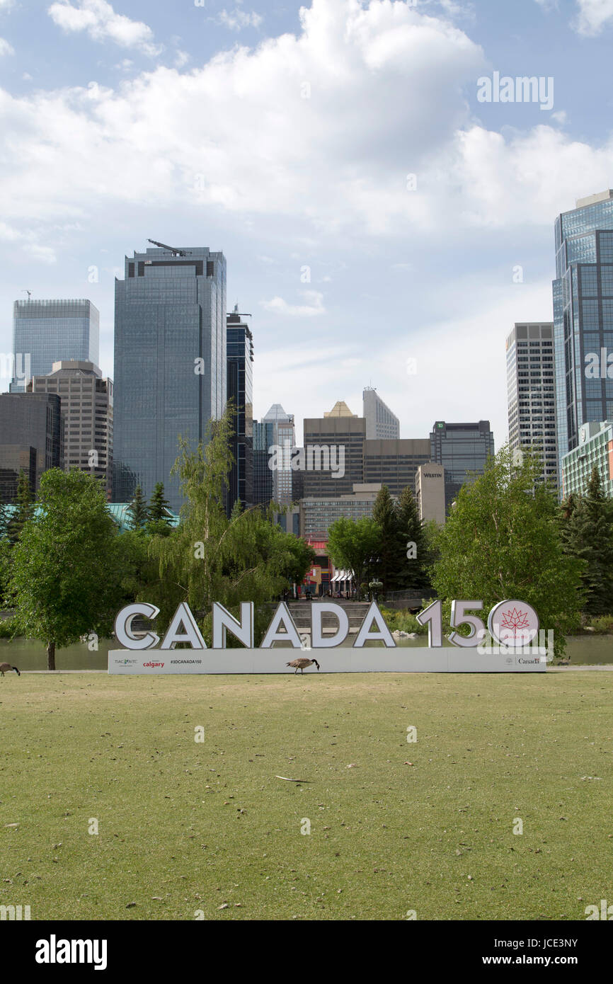 A Canada goose by a Canada 150 sign in Calgary, Canada. The sign ...