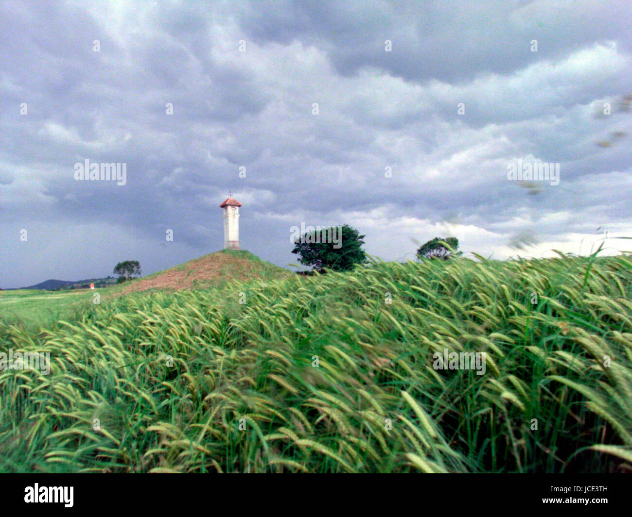 Getreide symbol hi-res stock photography and images - Alamy