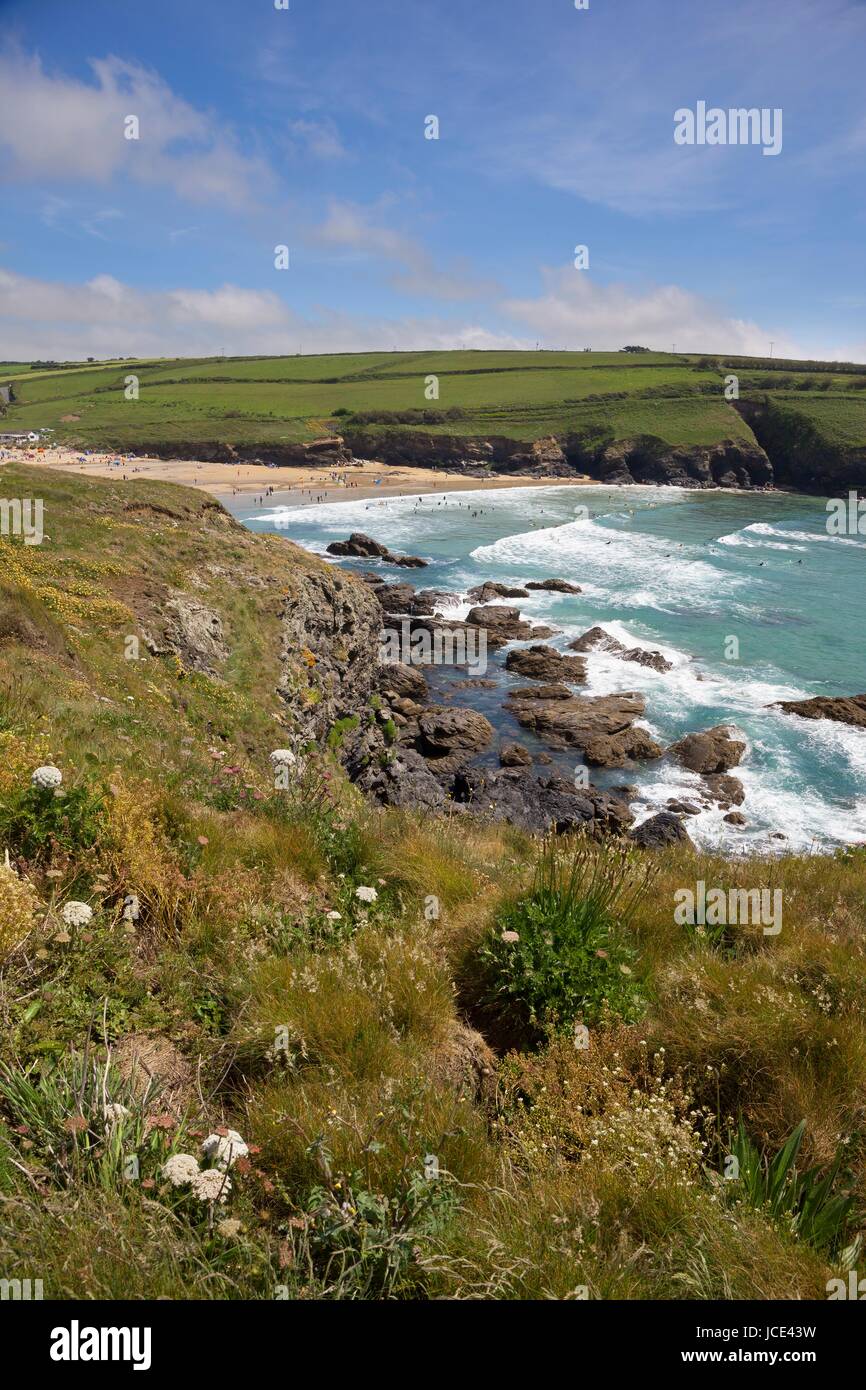 Looking towards Poldhu Cove, Cornwall, England Stock Photo - Alamy