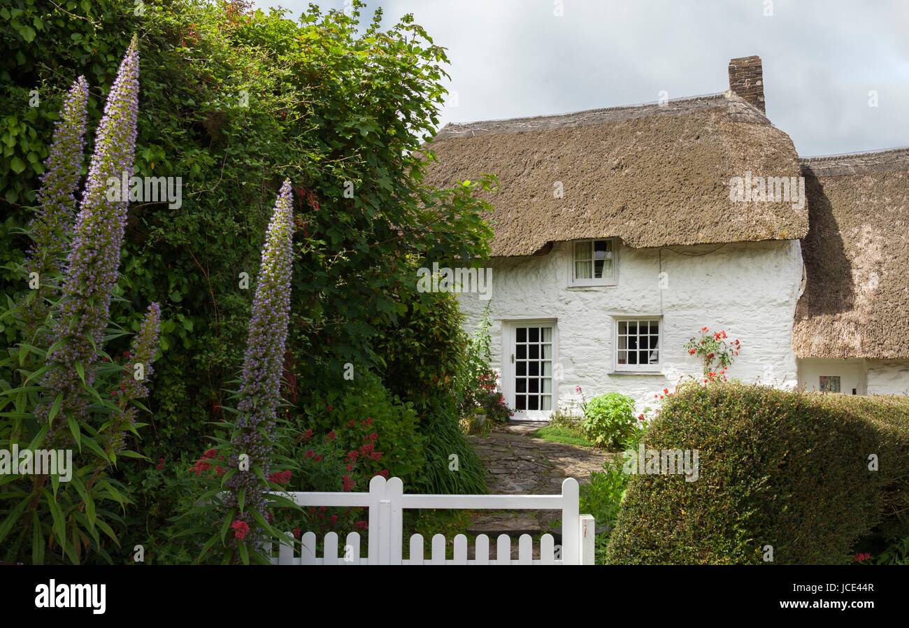 White Washed Thatch Cottage High Resolution Stock Photography and ...