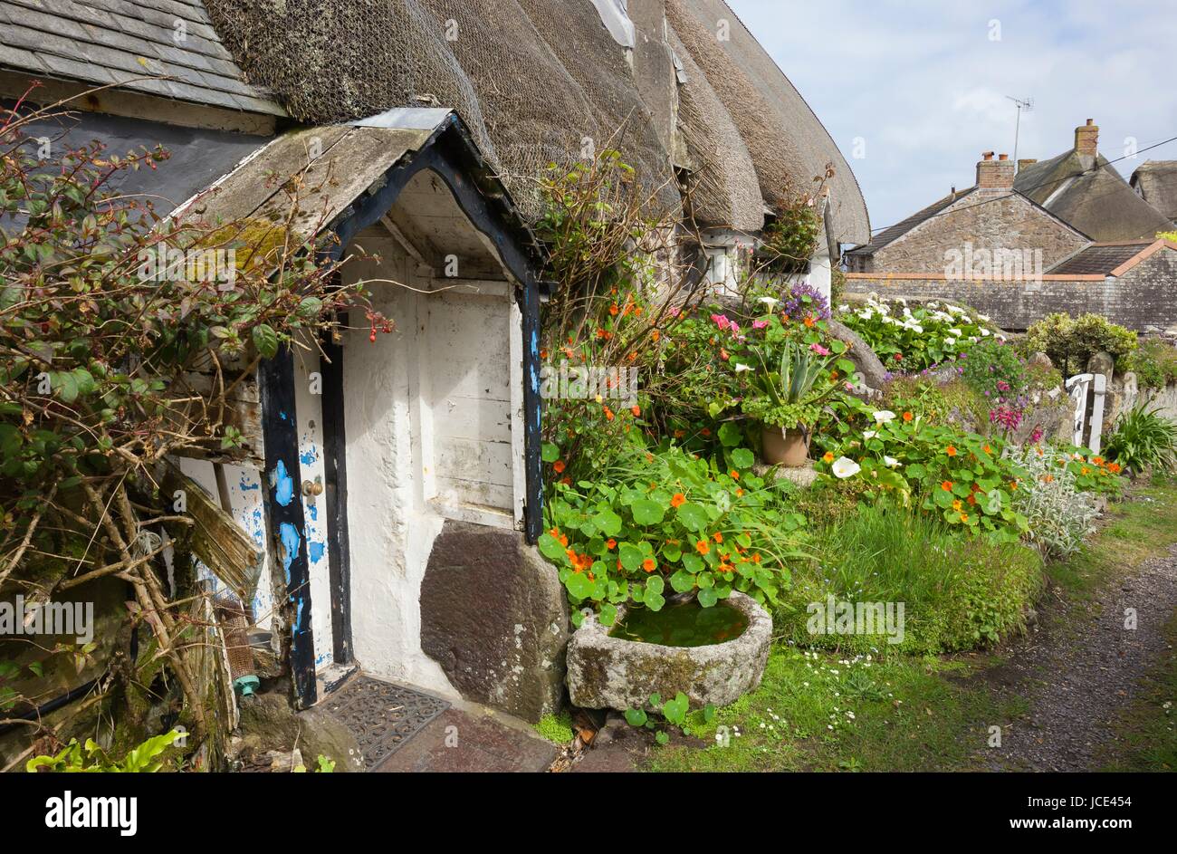 Thatched cottages at cadgwith hi-res stock photography and images - Alamy